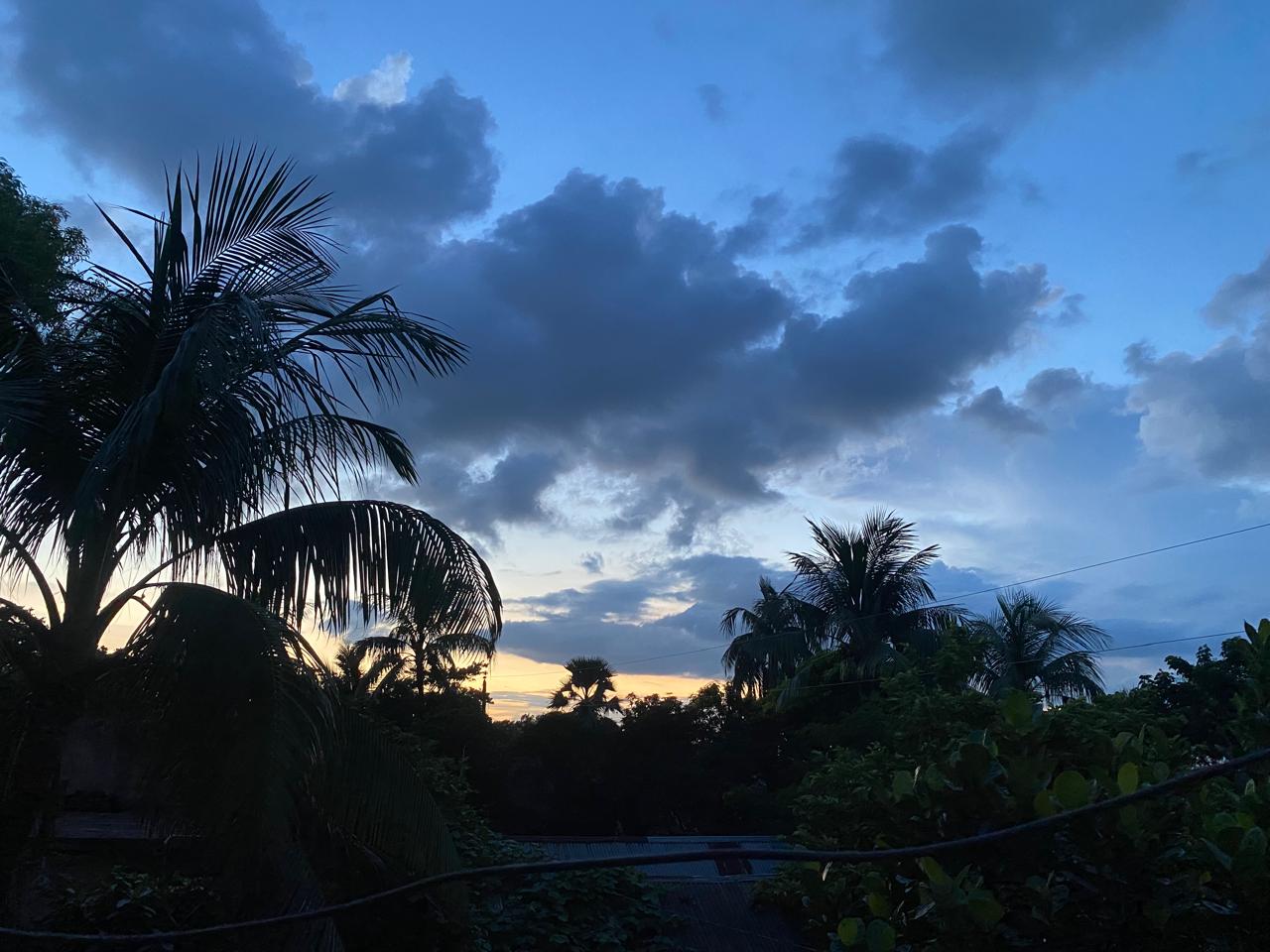 Mahisa Islam | Portfolio